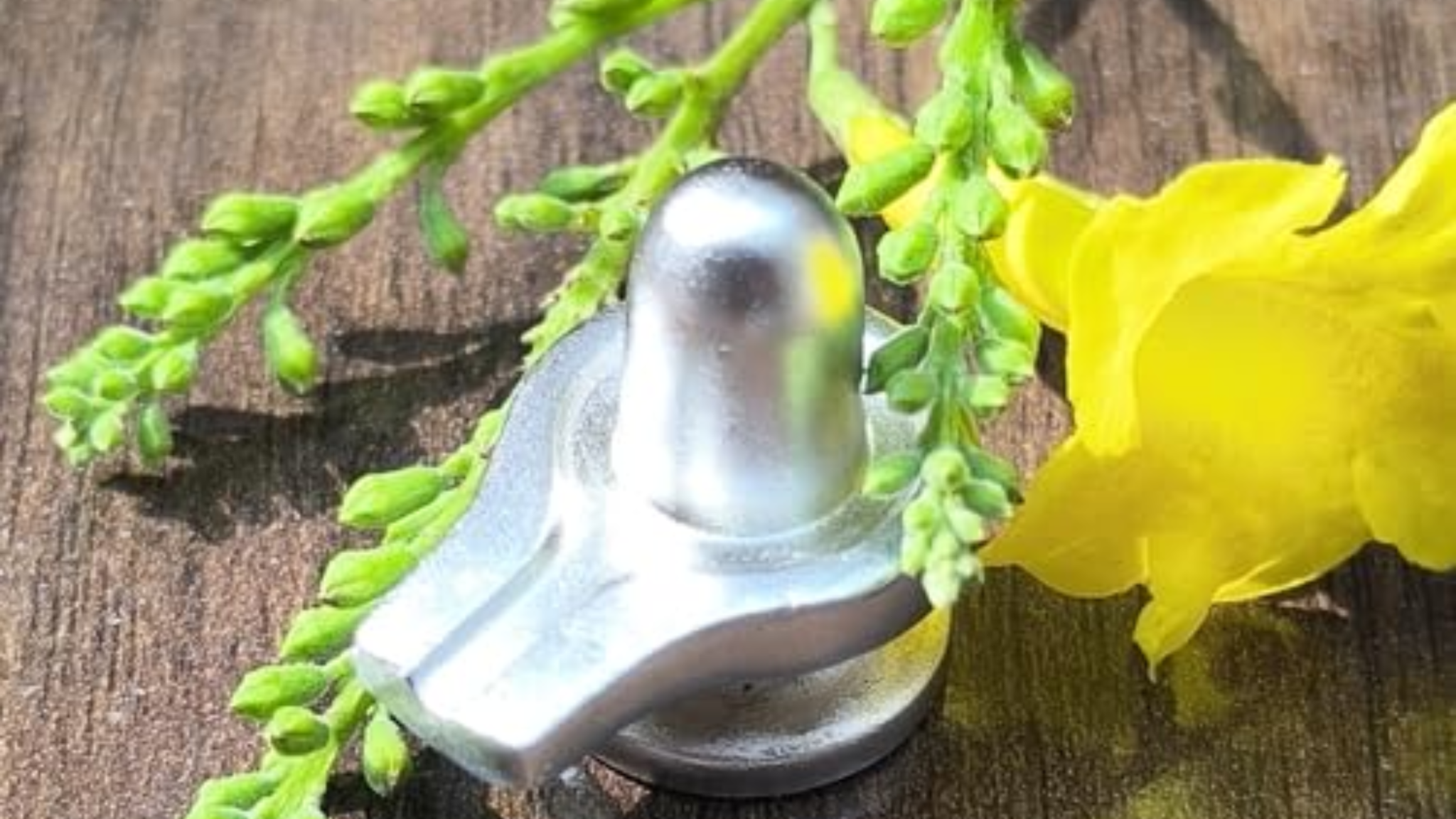 Articles - Vinayak Bhatt